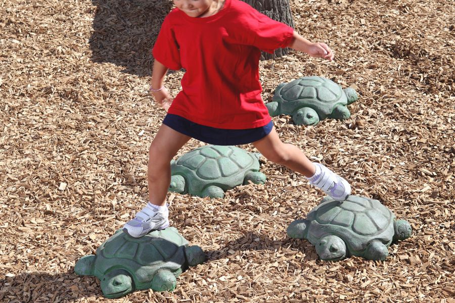 Stepping Turtles | UltraPlay